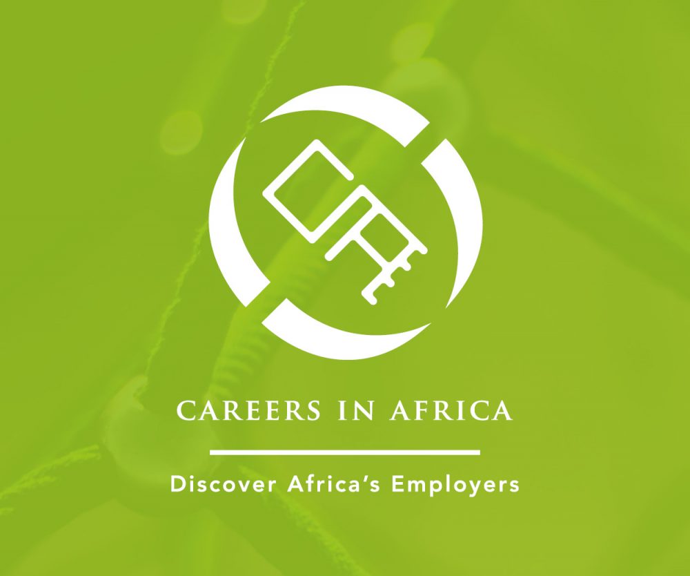 Careers in Africa – Jobs in Africa – Find work in Africa | Careers in ...